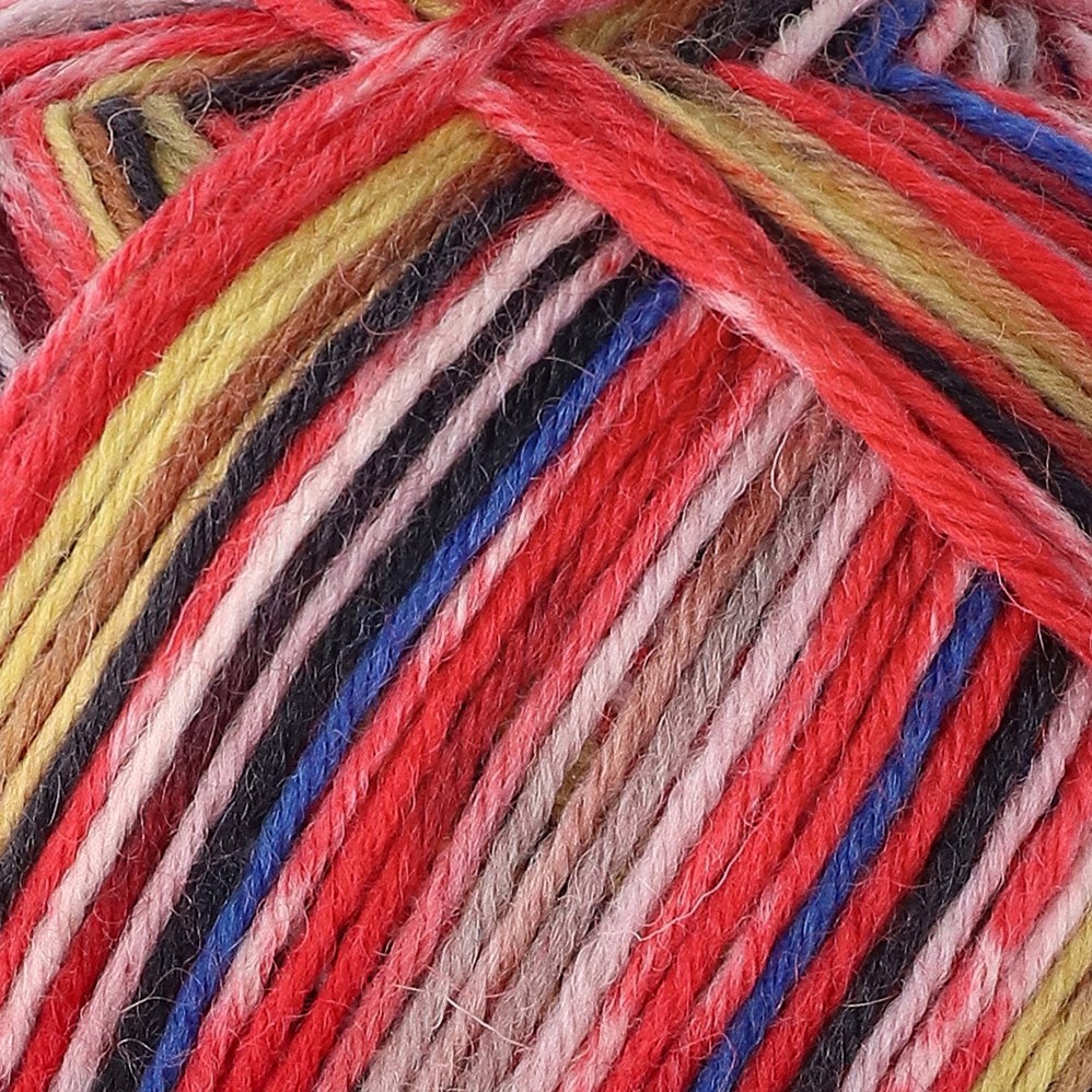 SMC Regia Design Line Color 6 ply - Yarnplaza.com