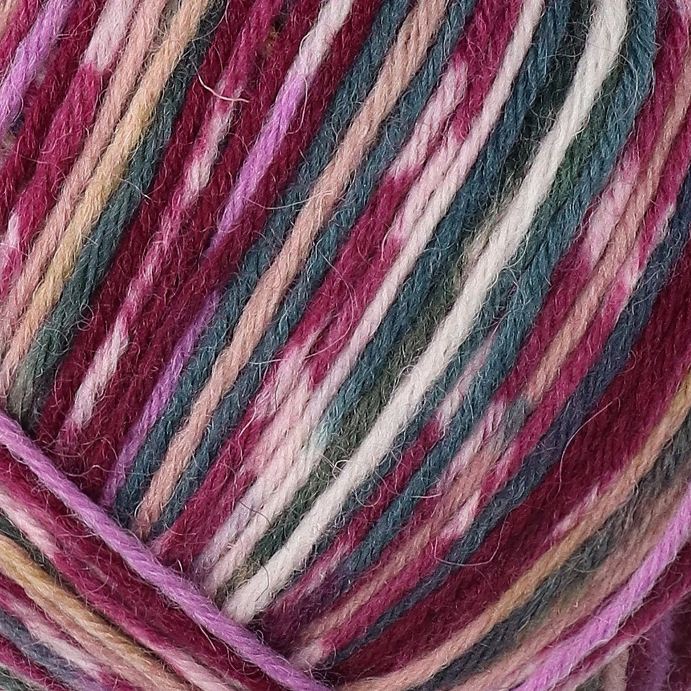 SMC Regia Design Line Color 6 ply - Yarnplaza.com