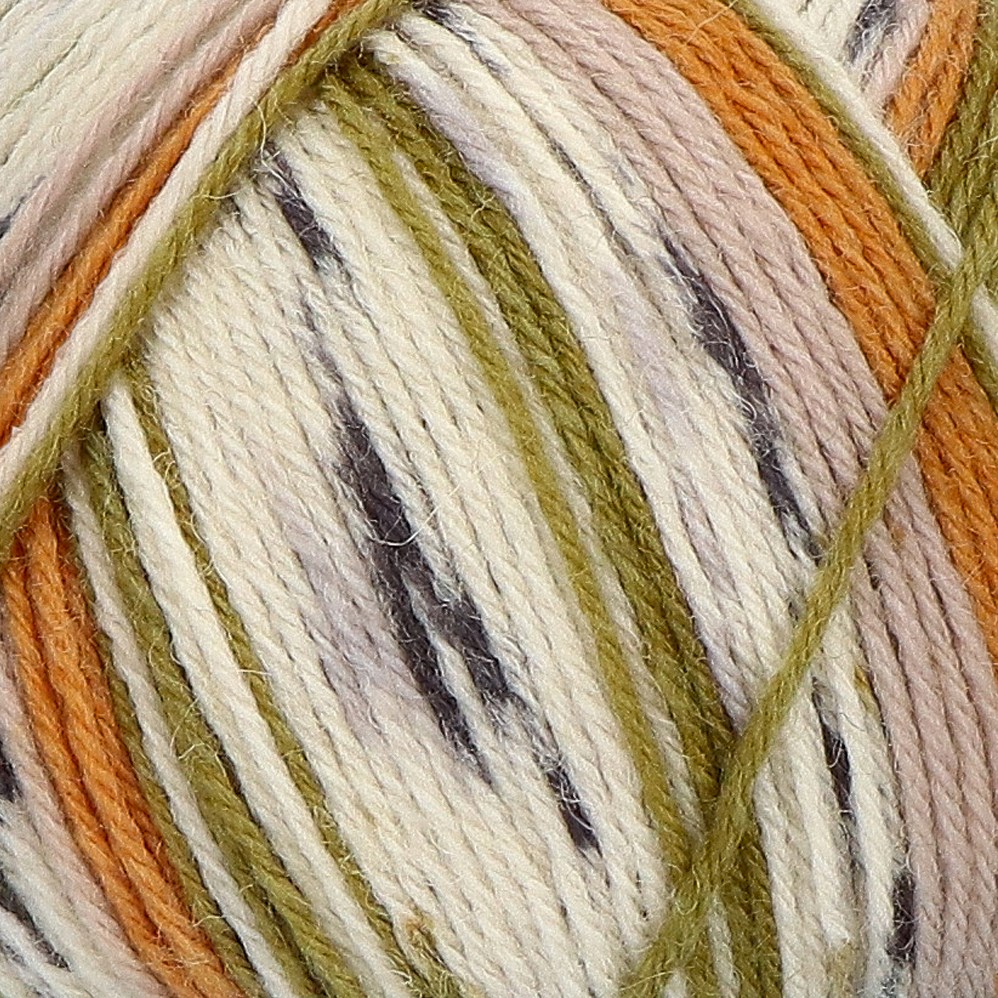 Stylecraft Head Over Heels - A Walk in Nature 3126 Hike | Yarnplaza.com