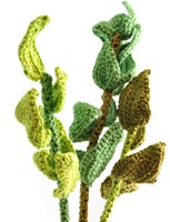 Free Crochet Pattern Green Twigs - Yarnplaza.com